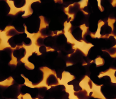 Tortoise Shell Pattern Glasses